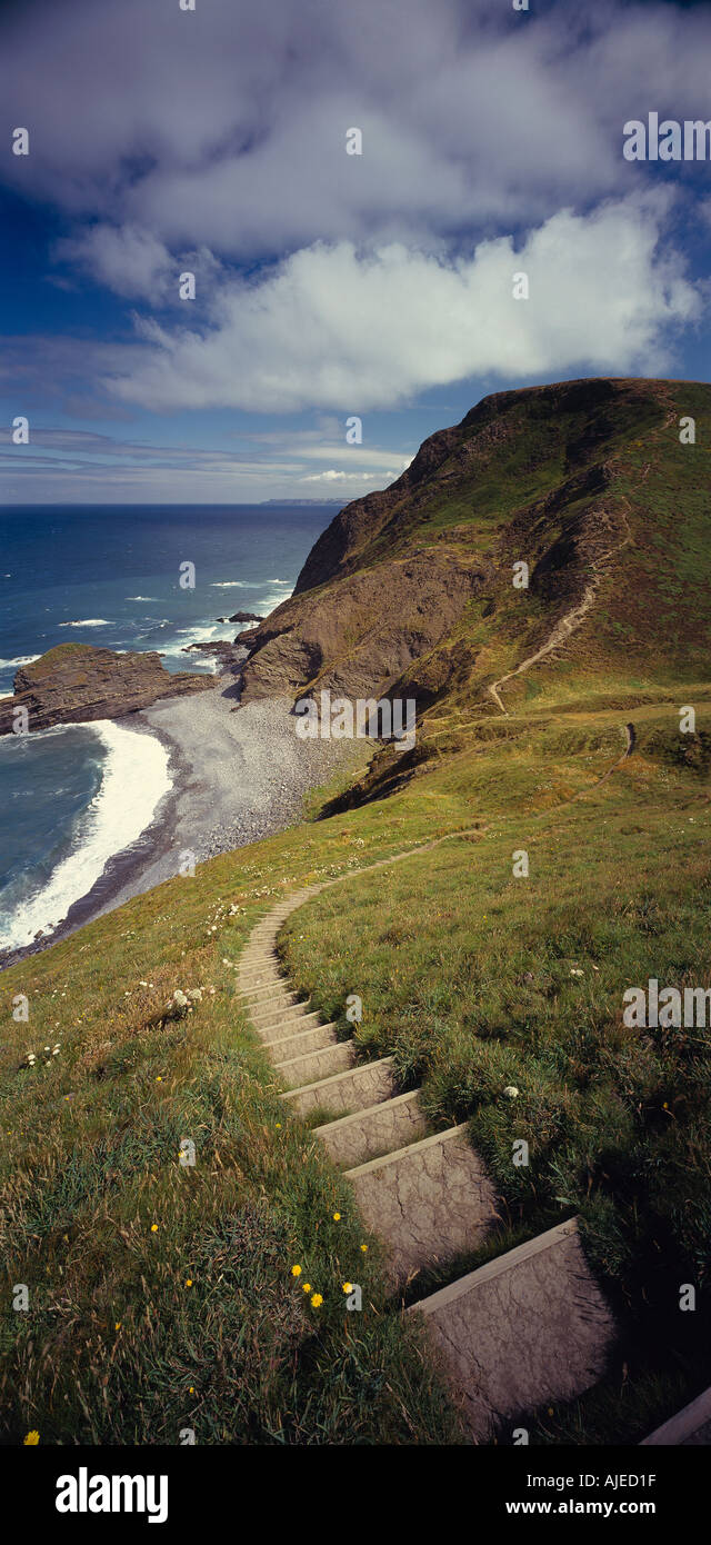 The coast path and Chipman Strand between Dizzard Point and Cleave at ...