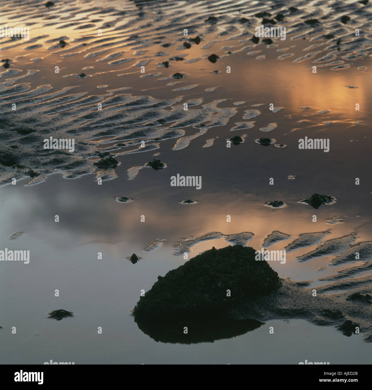 Sunset reflected in tidal pools just south of Greyabbey at Strangford ...