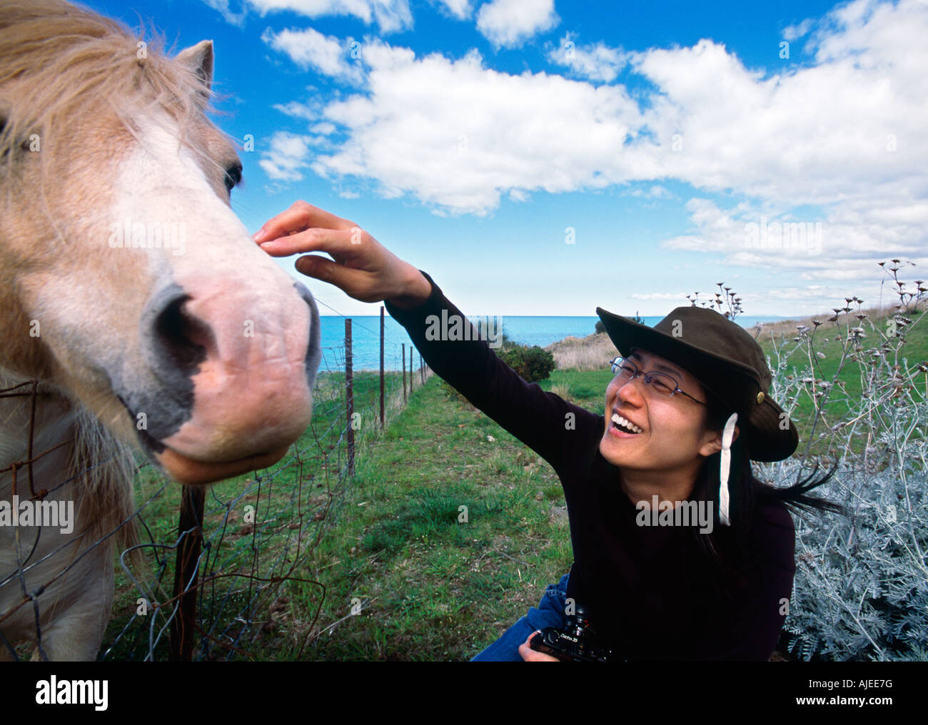 Asian (Japanese) woman scratching a horse's nose Stock Photo - Alamy