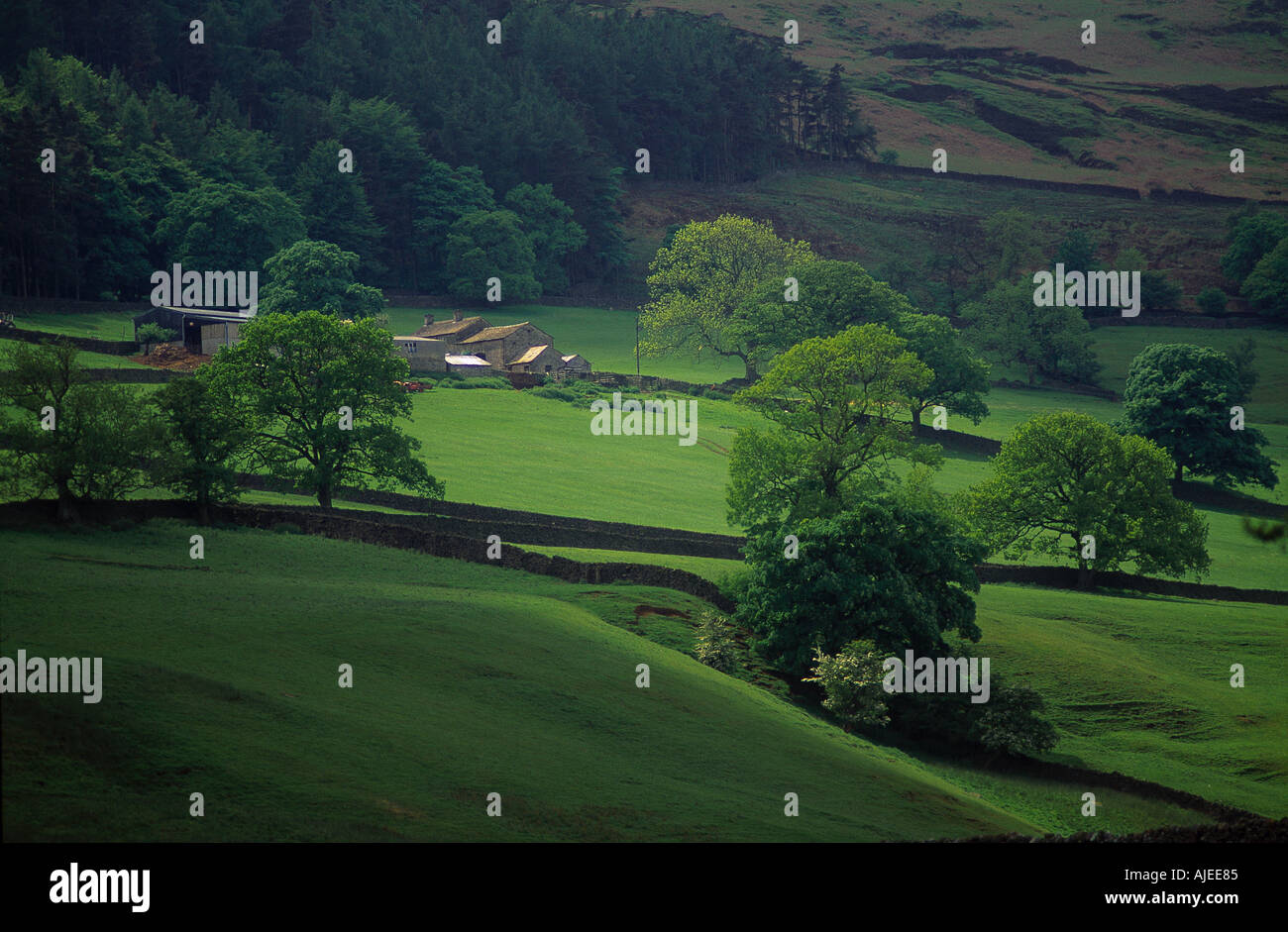 Beautiful countryside around an isolated farm at Upper Wharfedale North ...