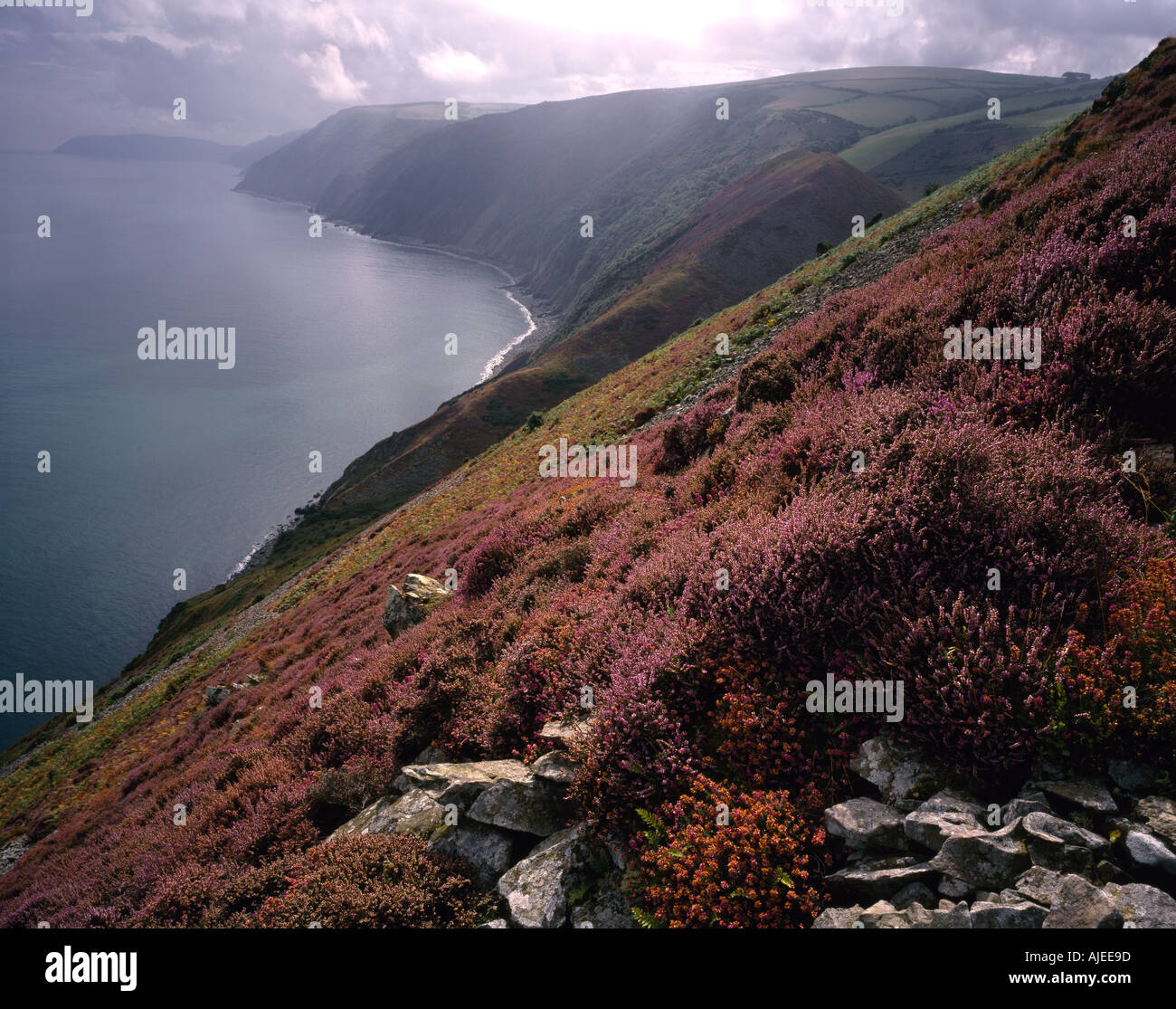 Countisbury_hill hi-res stock photography and images - Alamy