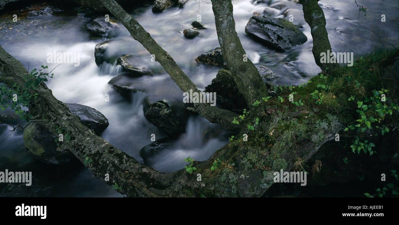 Llan y llan hi-res stock photography and images - Alamy