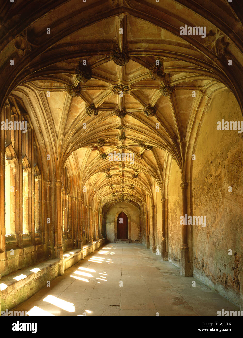 Cloister walk hi-res stock photography and images - Alamy