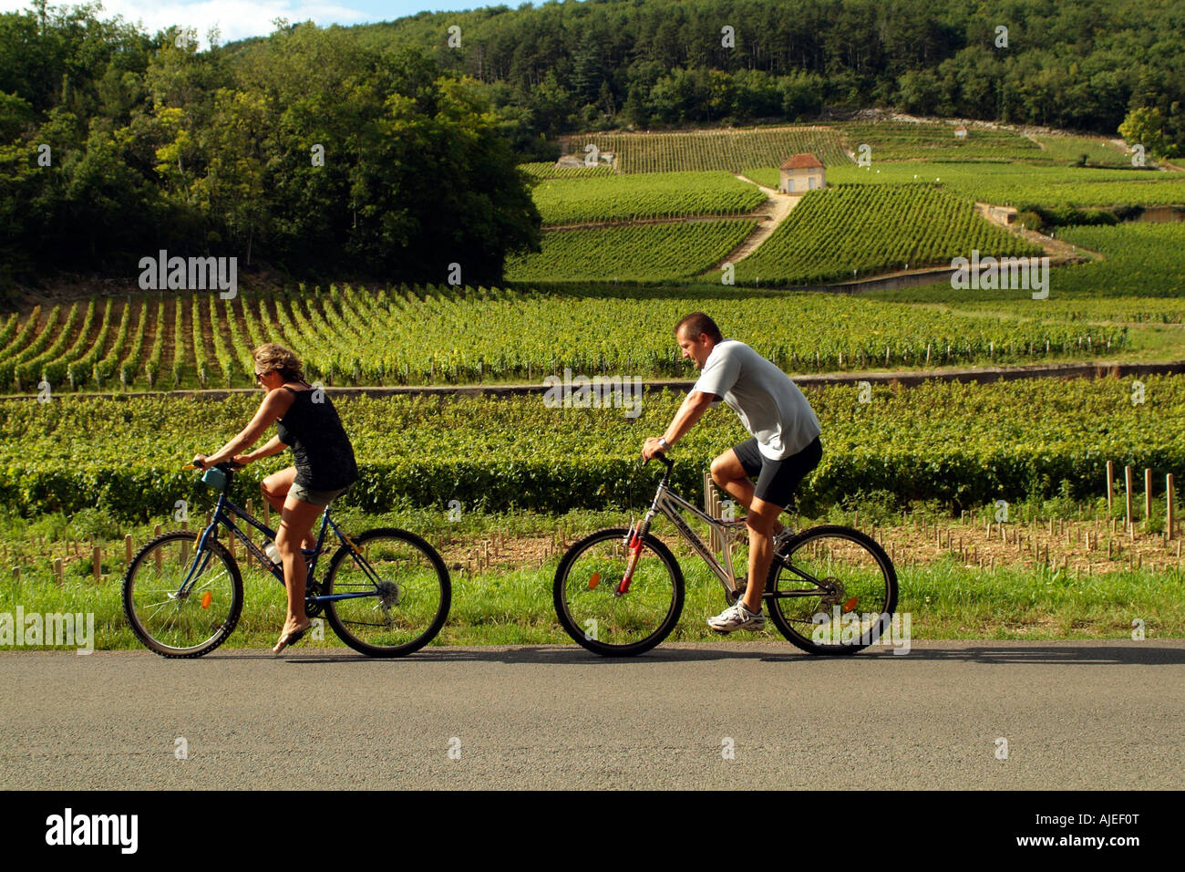 Woman cycling vineyard hi-res stock photography and images - Alamy