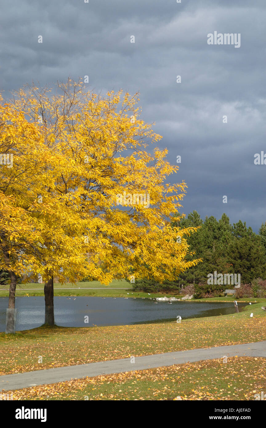 Andrew haydon park hi-res stock photography and images - Alamy