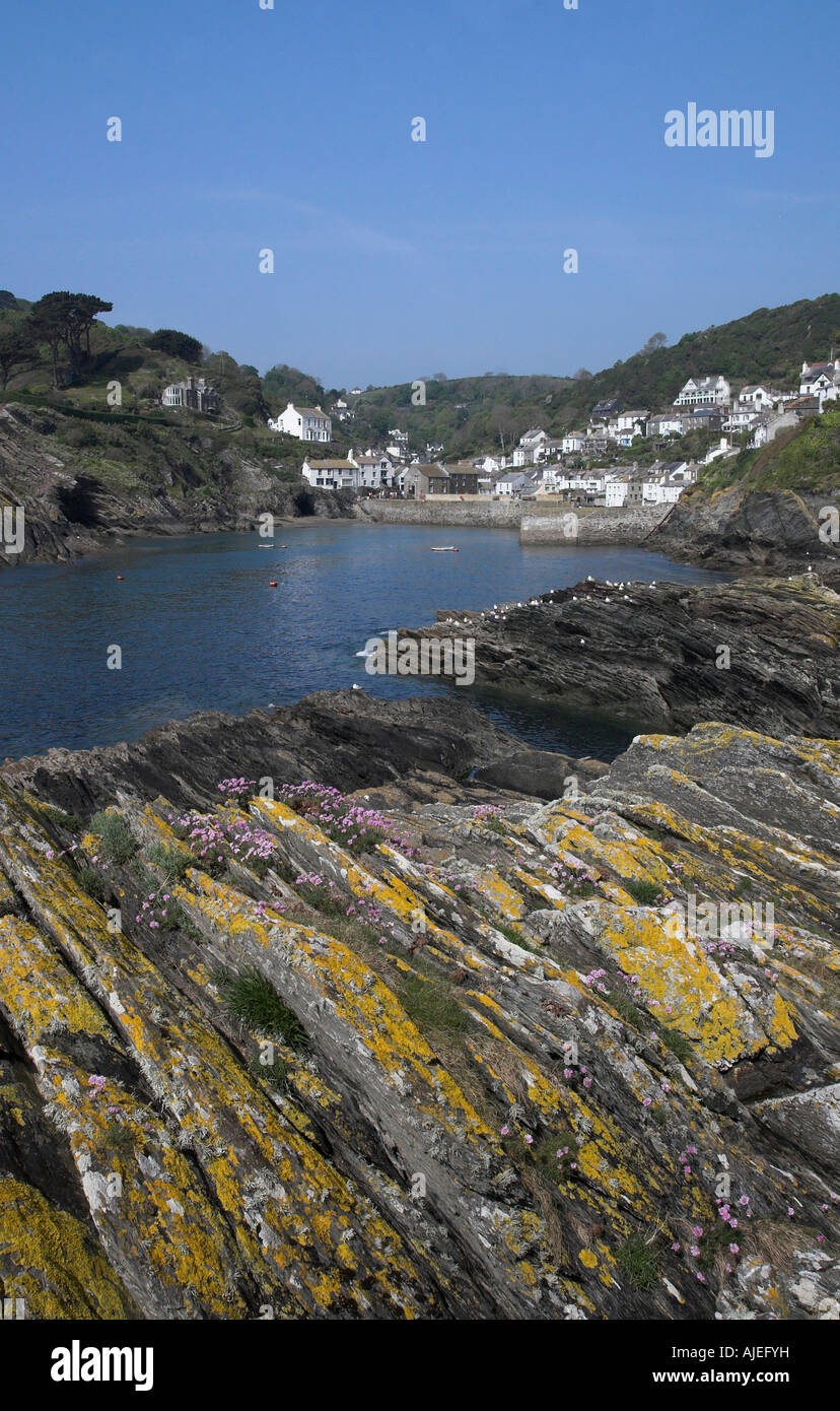 View of Polperro Harbour from West Cliffs Stock Photo - Alamy