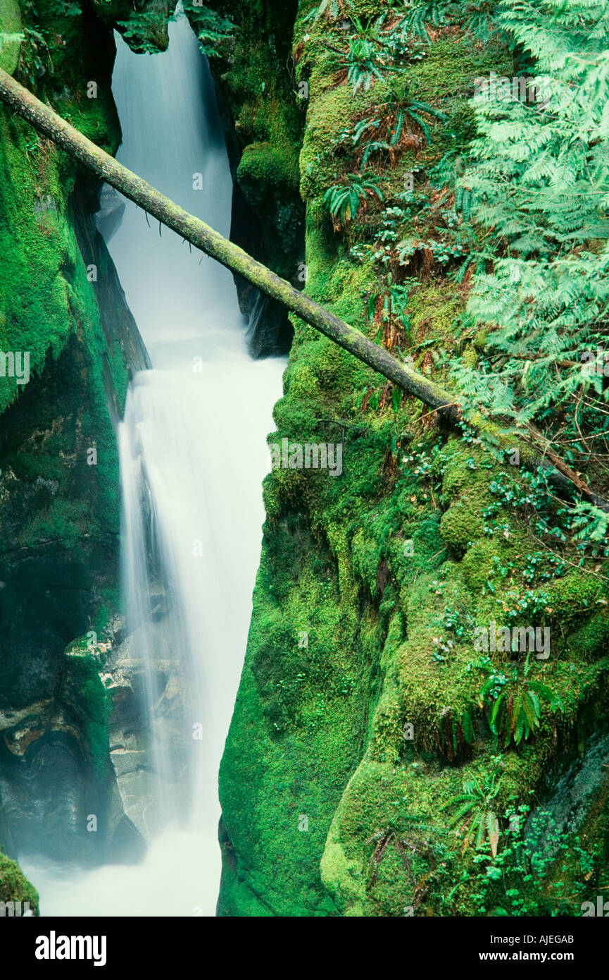 Newhalem hi-res stock photography and images - Alamy