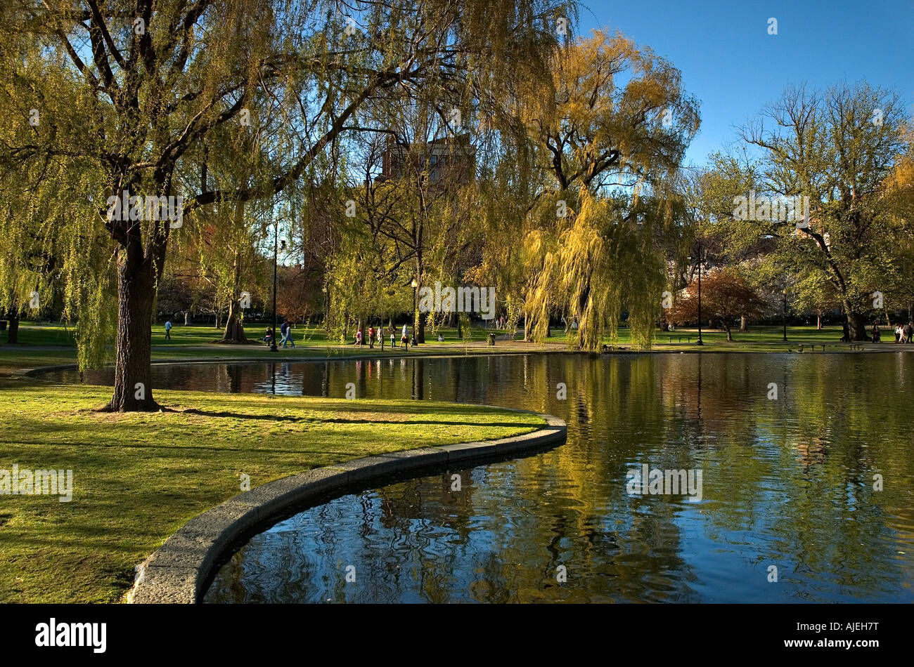 Gardens and water in Boston Common Stock Photo - Alamy