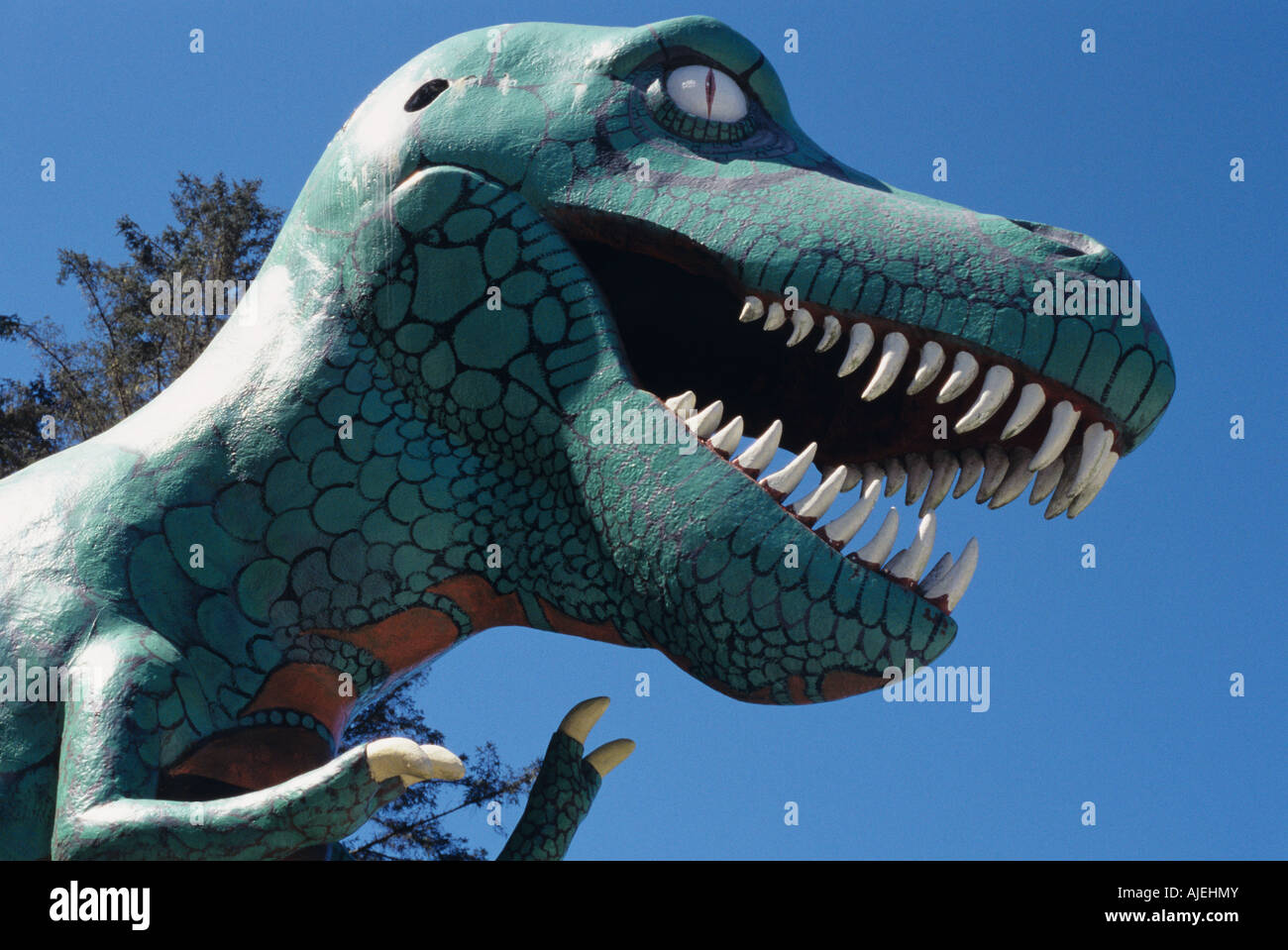 Prehistoric Gardens along the Oregon coast t rex tyrannosaurus rex ...