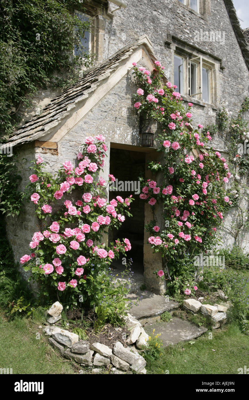 A old farm house in the cotswold hamlet of Calmsden with its roses ...