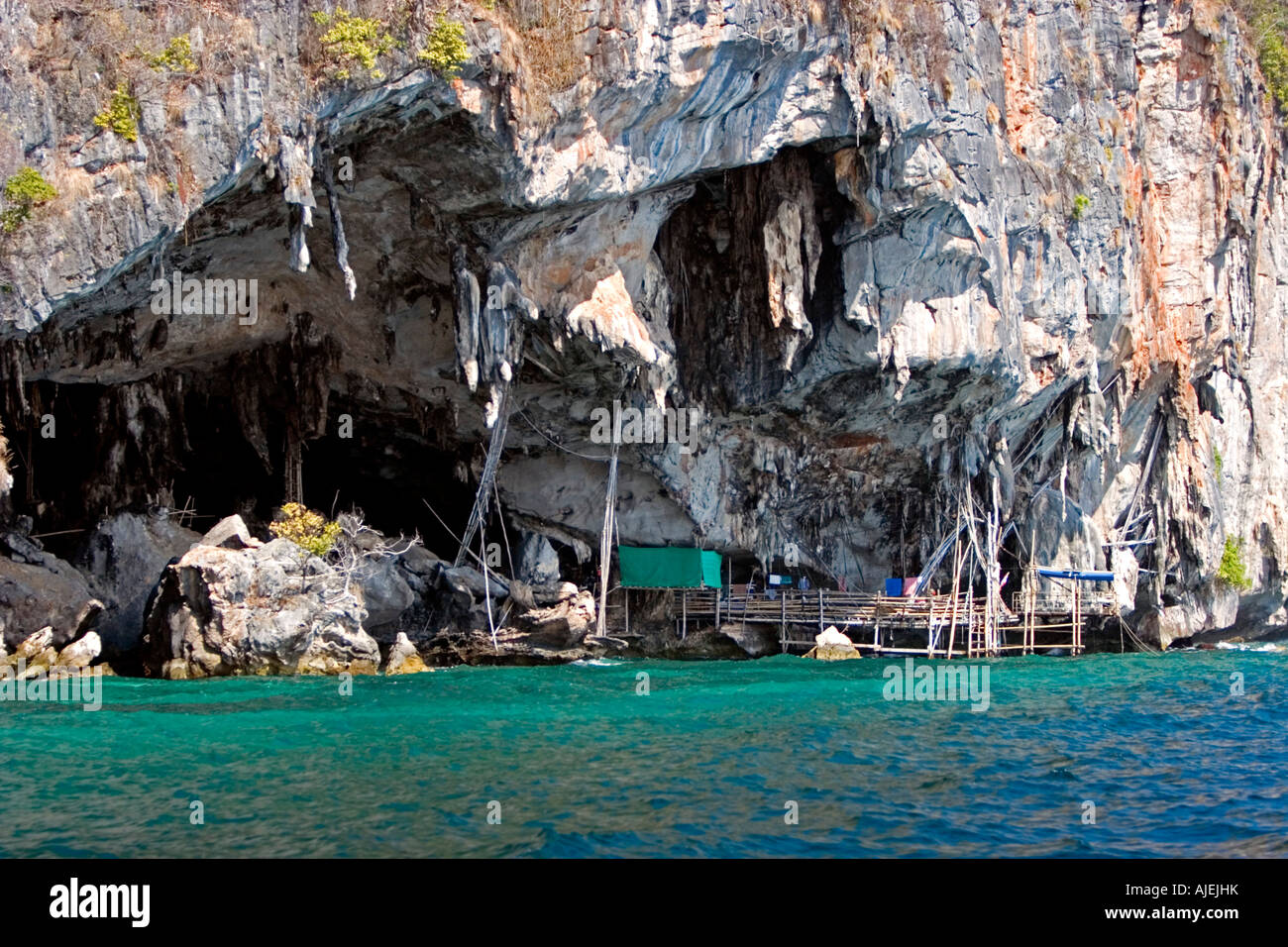 Viking Cave where scafolds are used to collect nests to export for bird ...