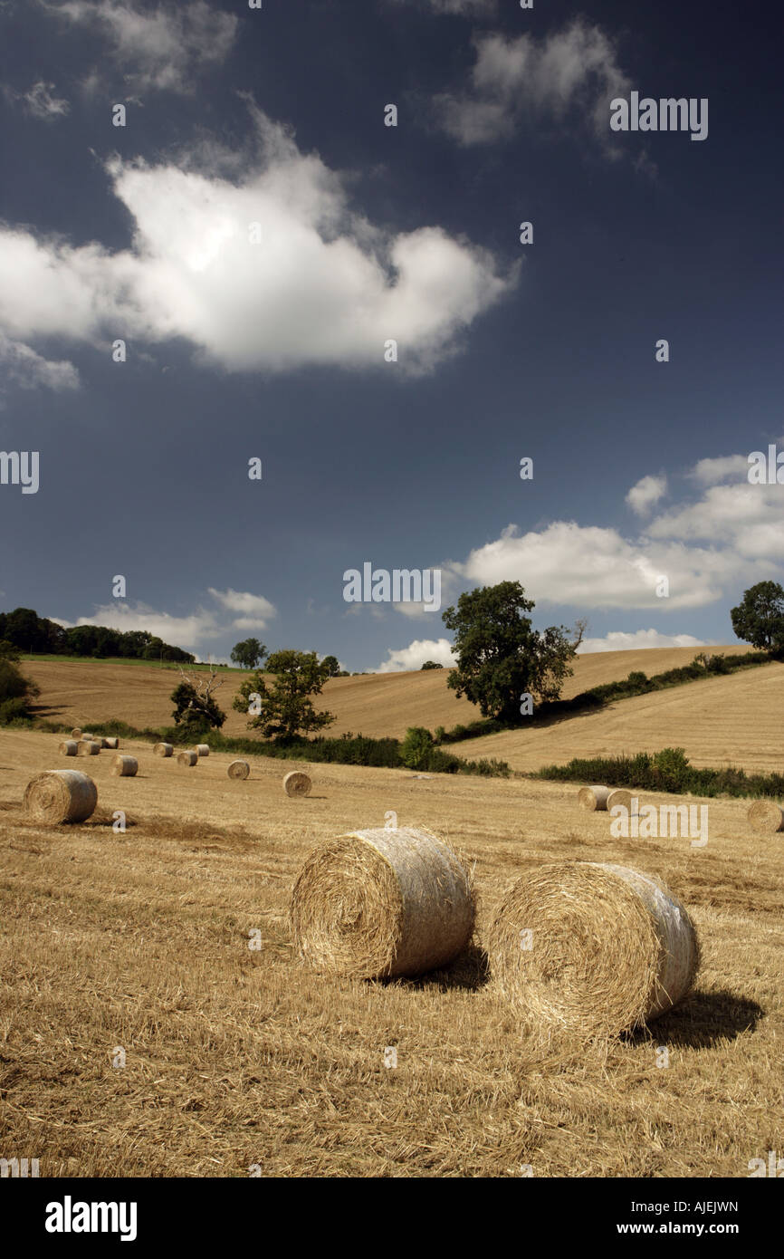 A valley in the cotswolds in late summer near Sudeley Castle at ...