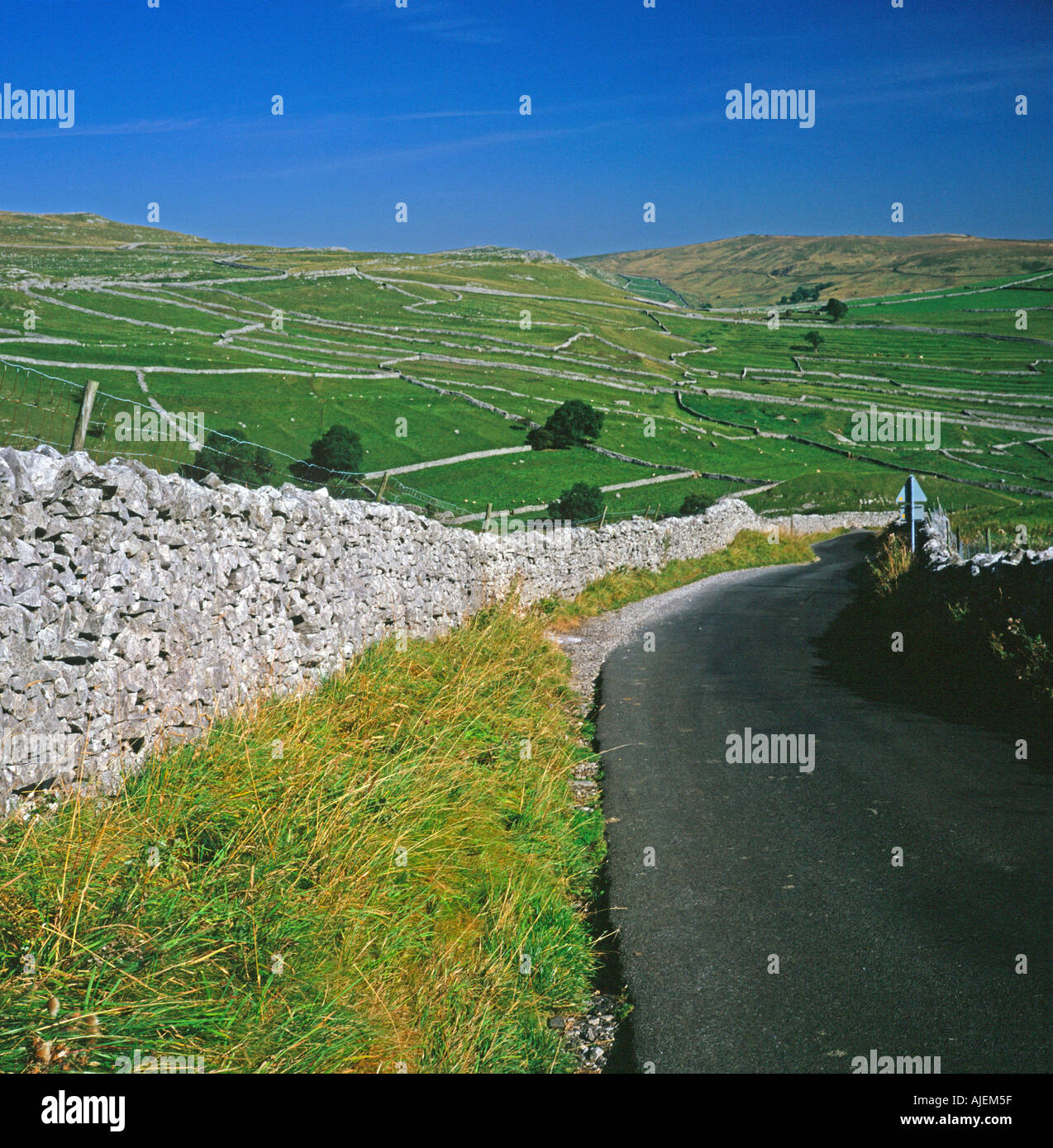 Dry stone wall Malham Yorkshire Dales national park England Stock Photo ...