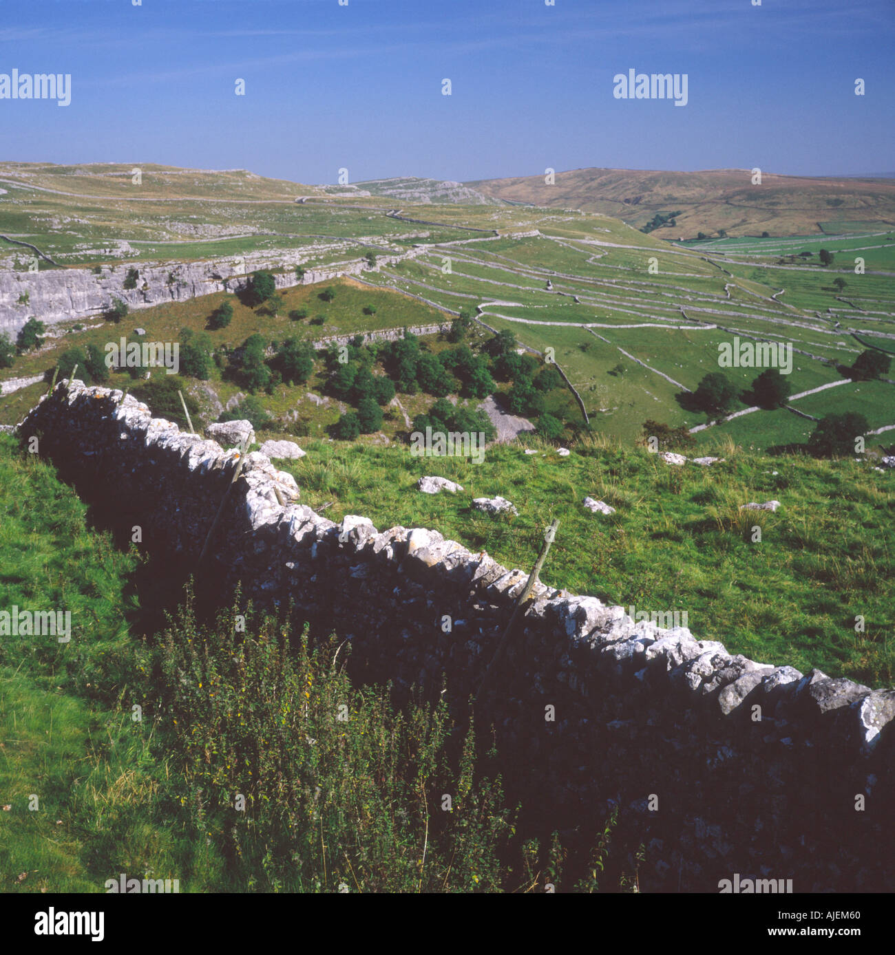 Dry stone wall Malham Yorkshire Dales national park England Stock Photo ...