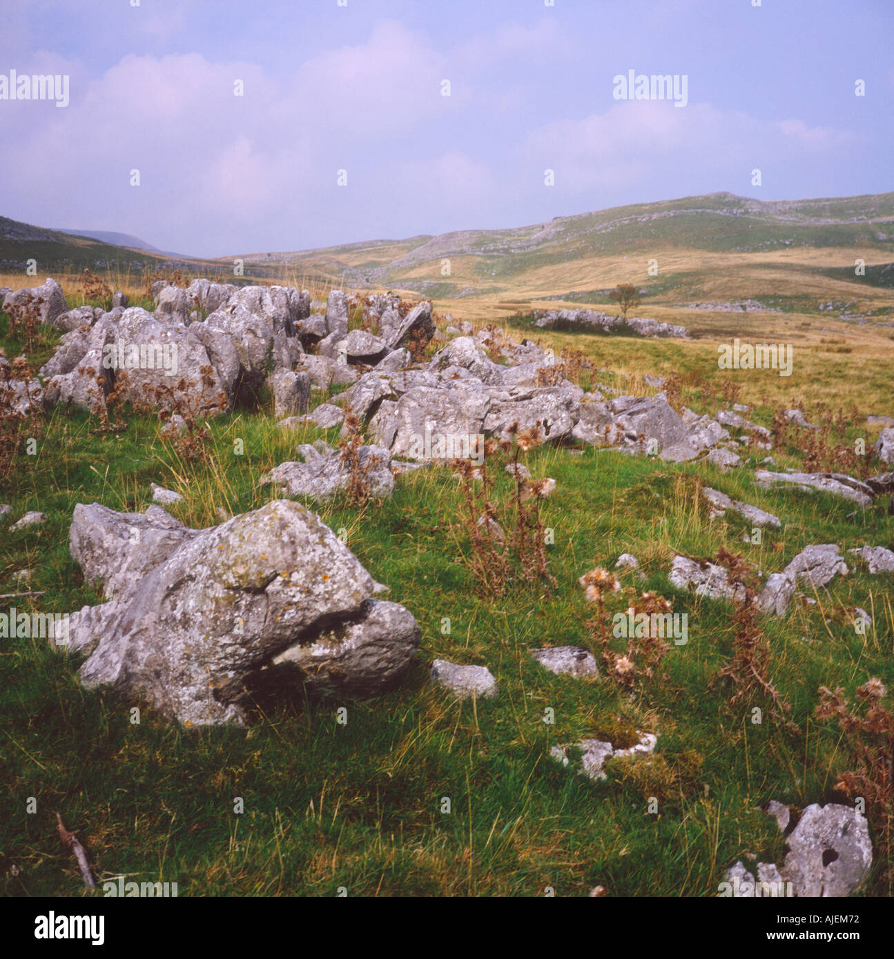 Upland limestone scenery Yorkshire Dales national park England Stock ...