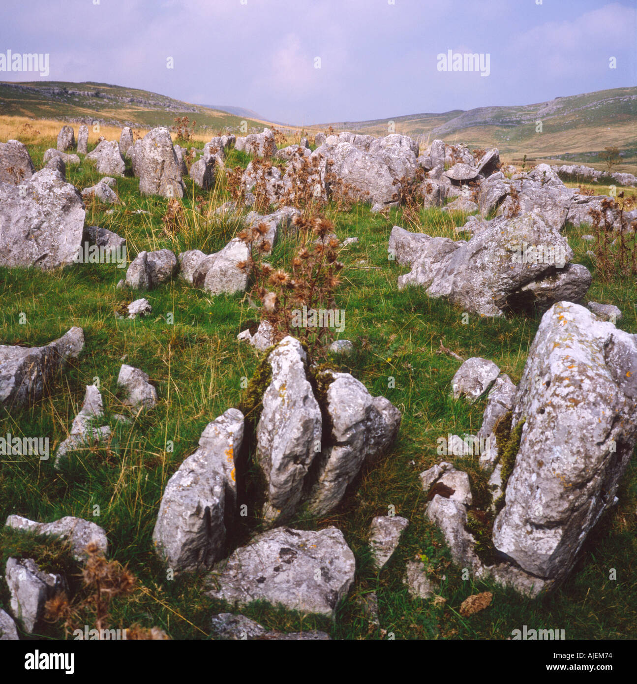 Carbonation weathering limestone hi-res stock photography and images ...