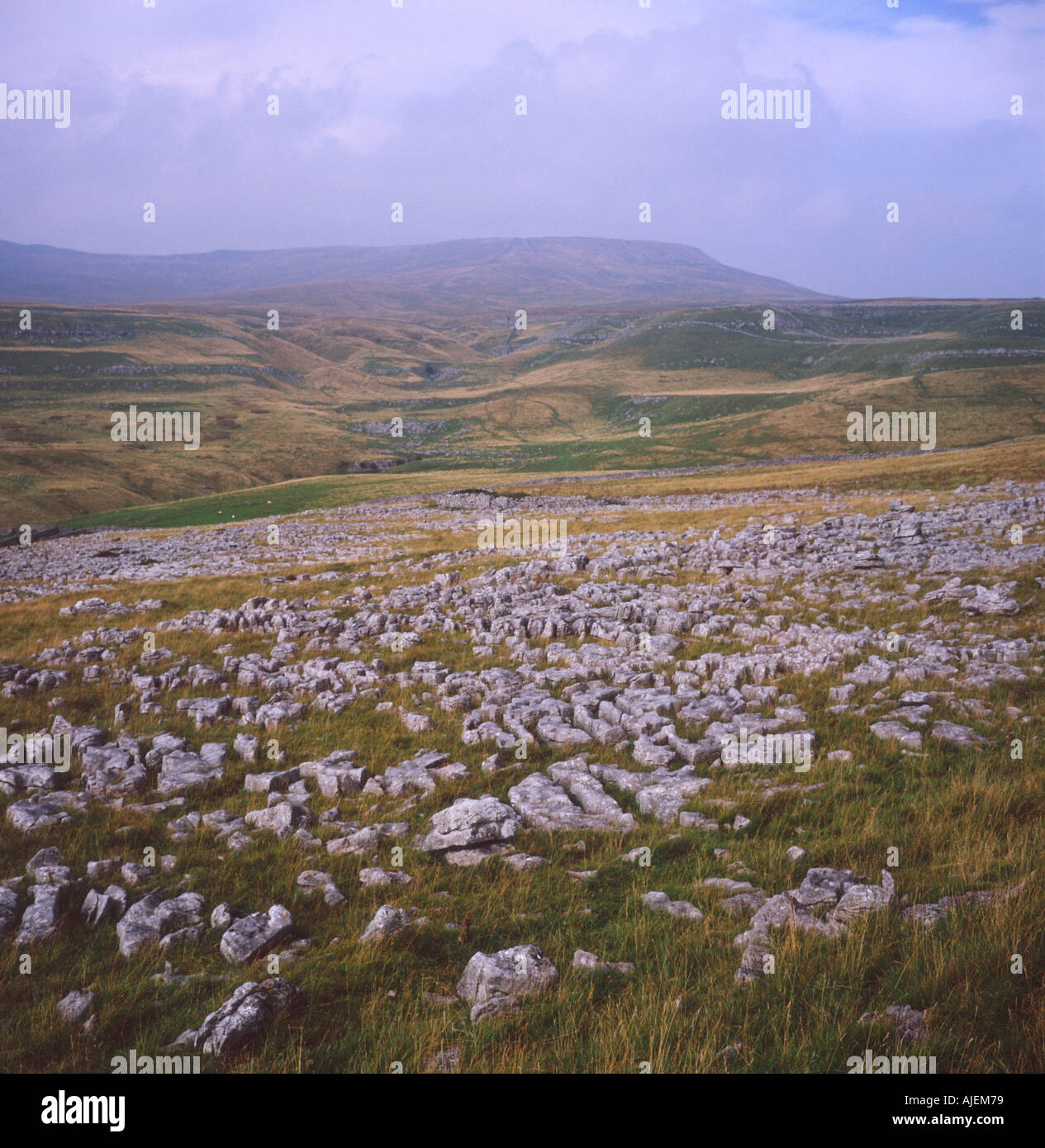 Limestone pavement Yorkshire Dales national park England Stock Photo ...