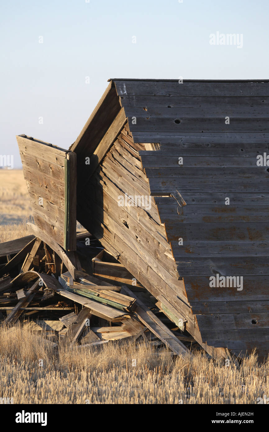 Collapsed farm building in scenic Saskatchewan Stock Photo - Alamy