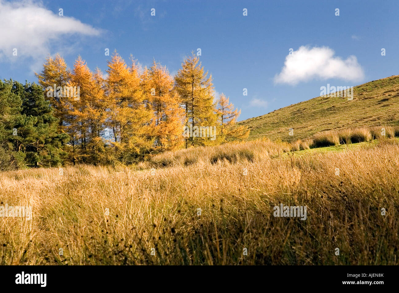 Ettrick valley hi-res stock photography and images - Alamy