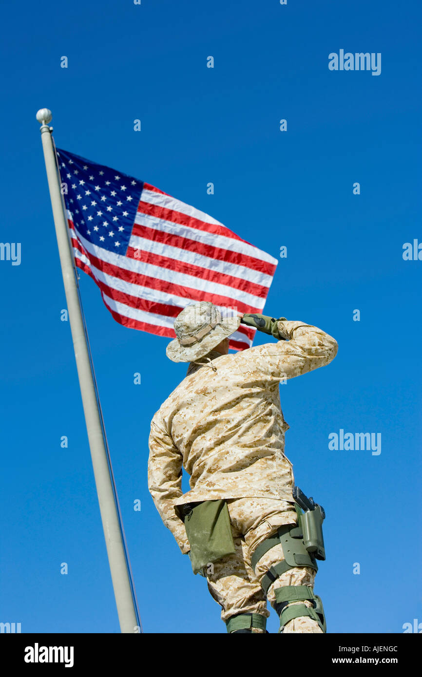 National flag standing uniform saluting hi-res stock photography and ...
