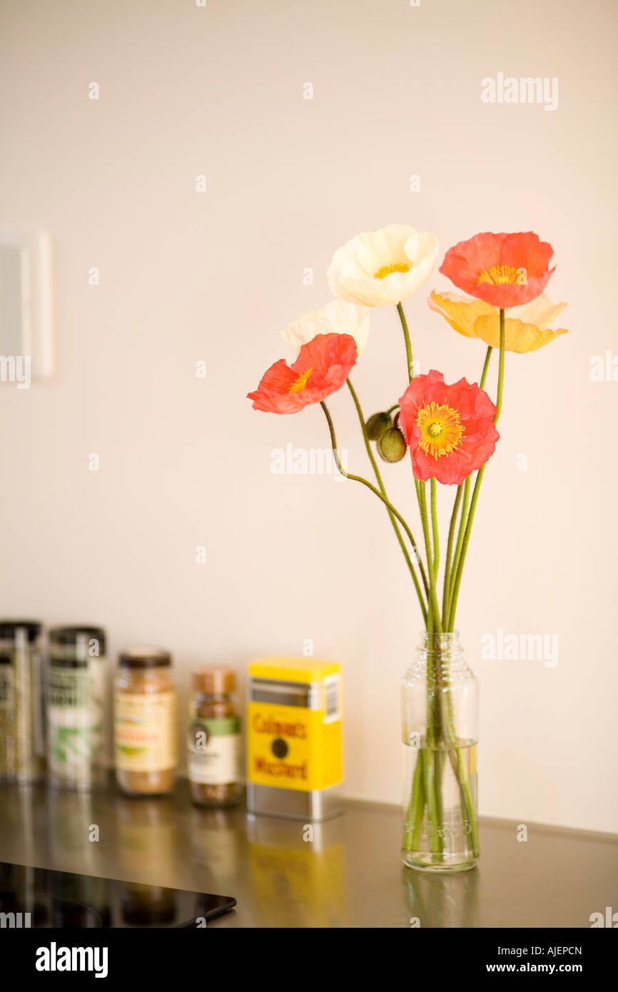 Poppy flowers on kitchen counter Stock Photo - Alamy