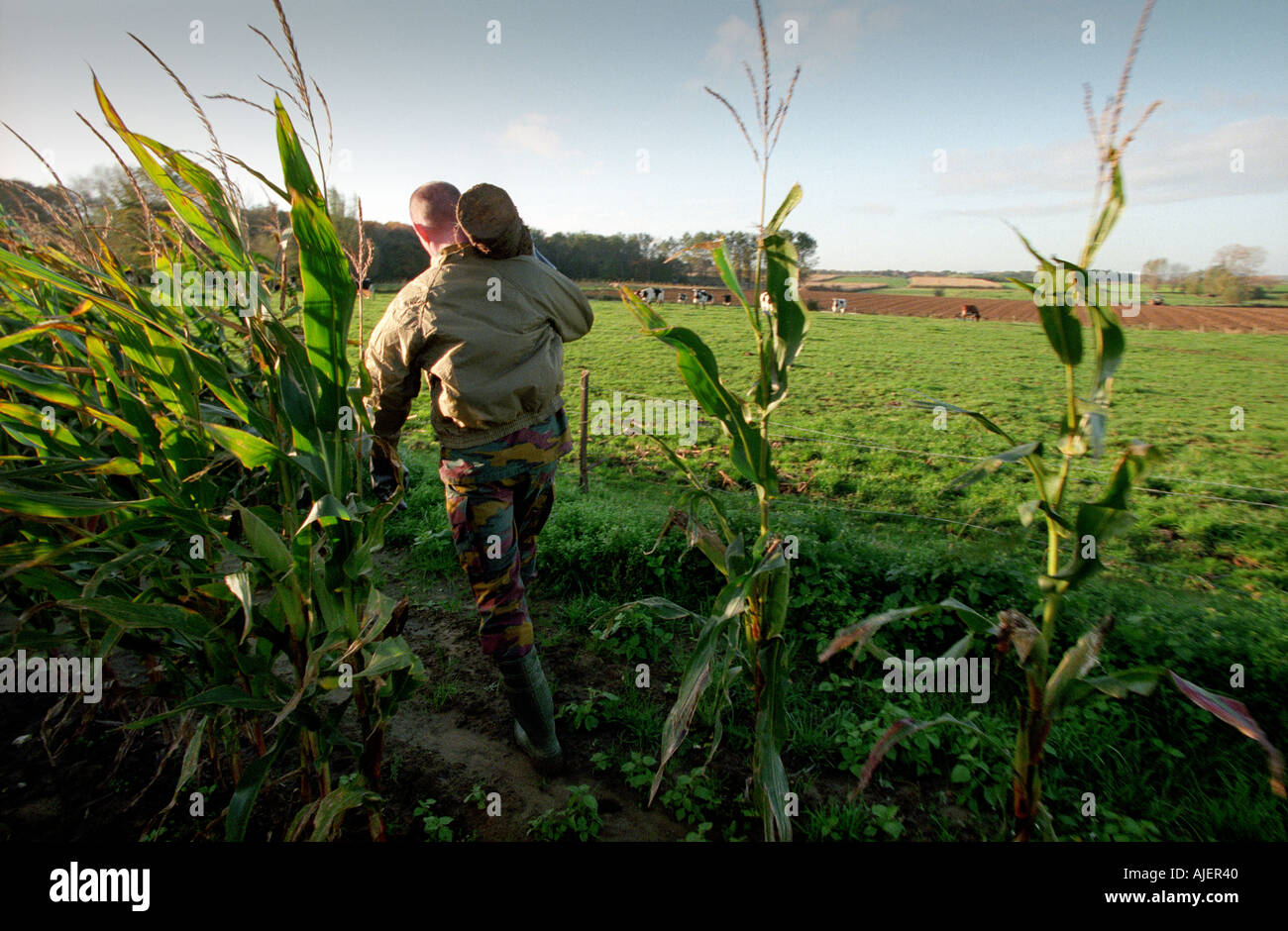 Decorative world war 1 bomb shells