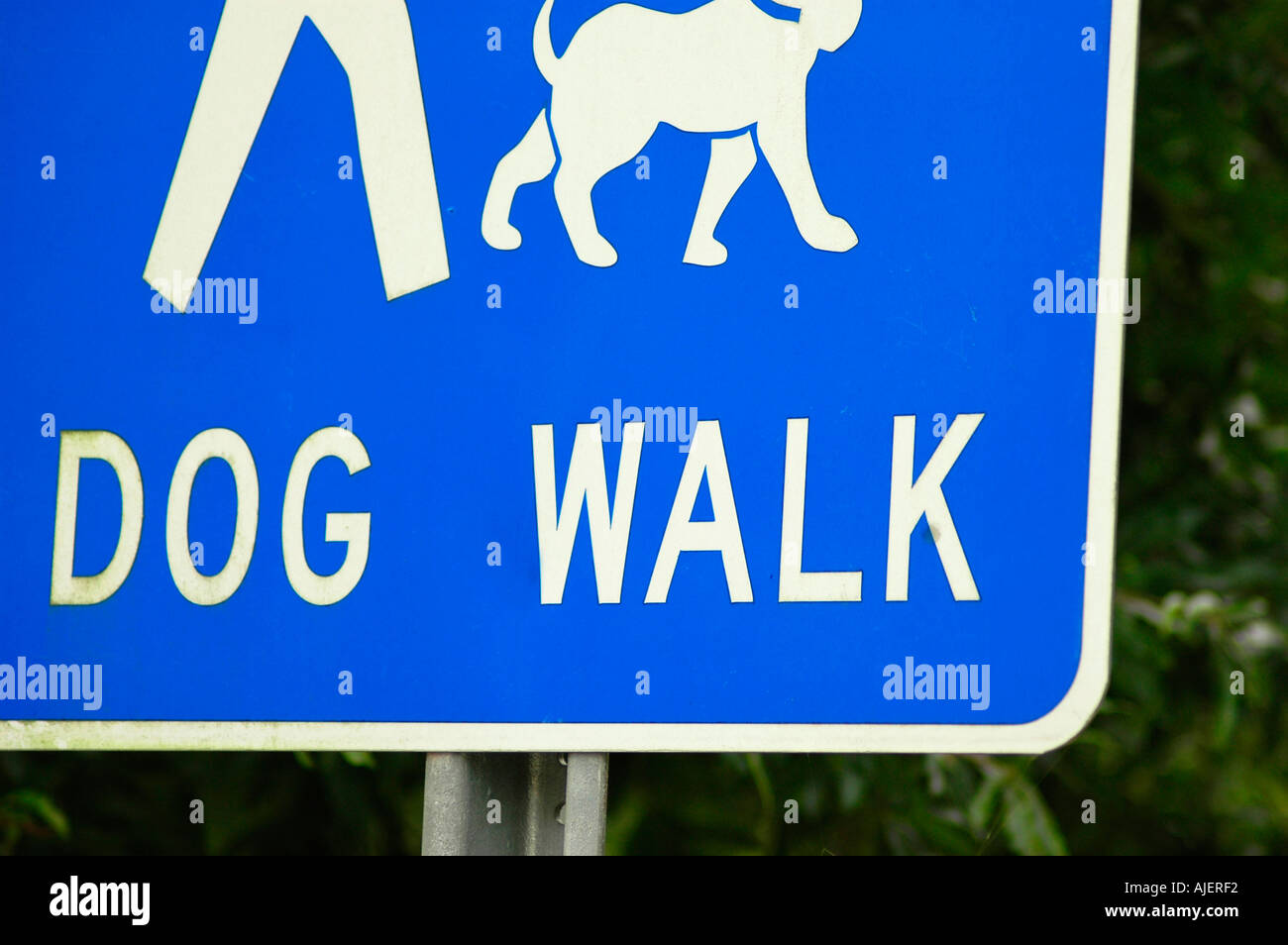 Dog Walking Area Sign in public parking area on highway some with No ...