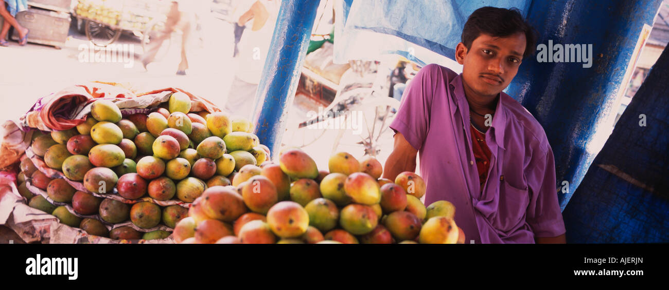Indian man selling Mangoes in market, Delhi, India Stock Photo - Alamy