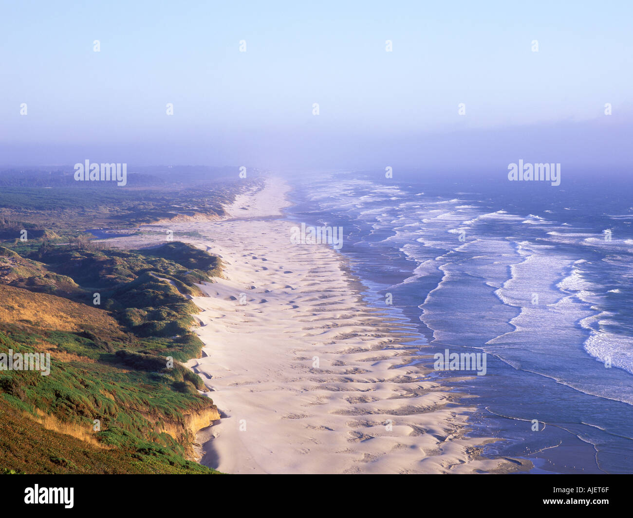 Beach north of Florence Oregon USA Stock Photo - Alamy