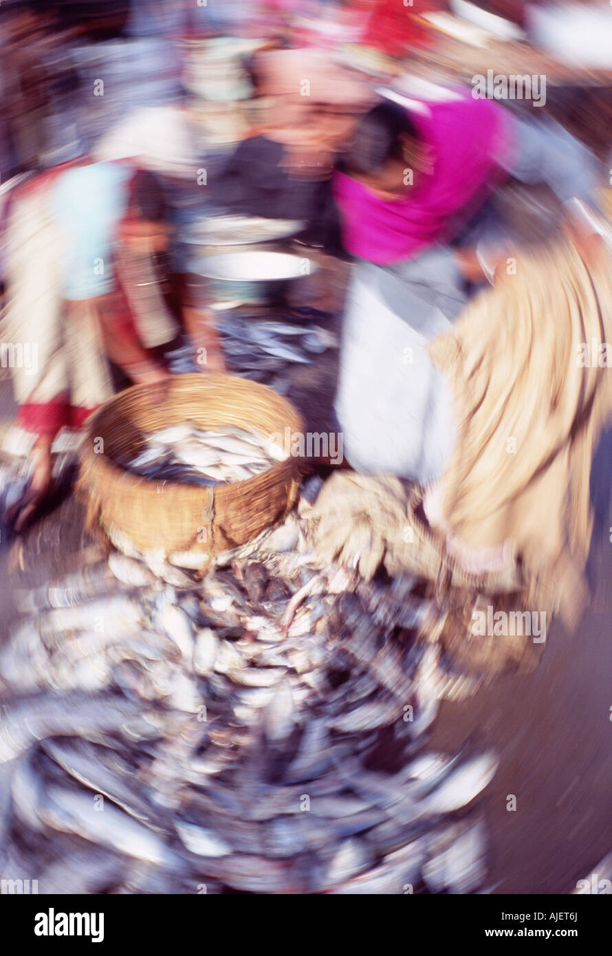 Fish Market Diu Gujarat High Resolution Stock Photography and Images ...