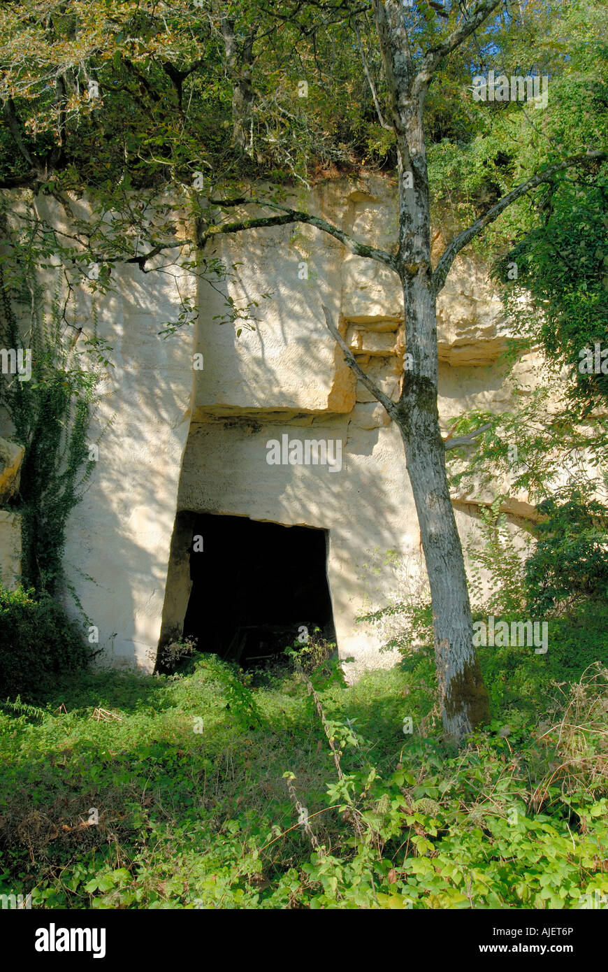 Man-made entrance to underground storage cave in rockface, Vienne ...