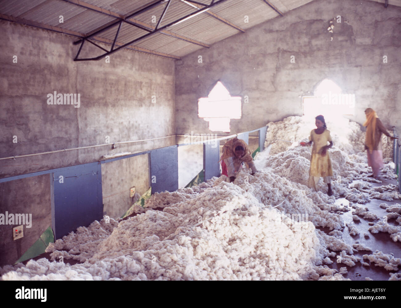 Indian women sorting cotton hi-res stock photography and images - Alamy