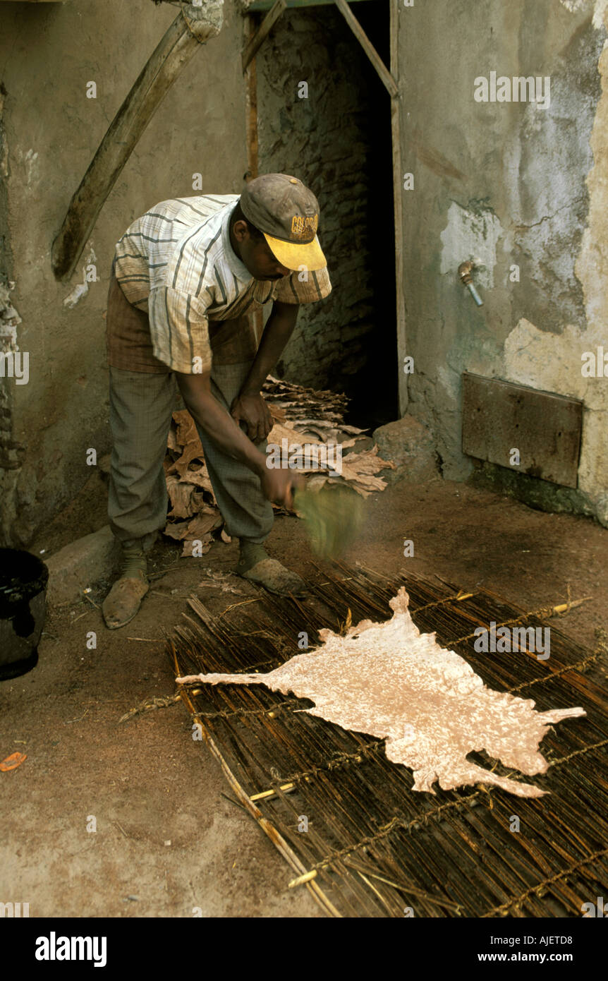 Marrakech leather factory Stock Photo - Alamy
