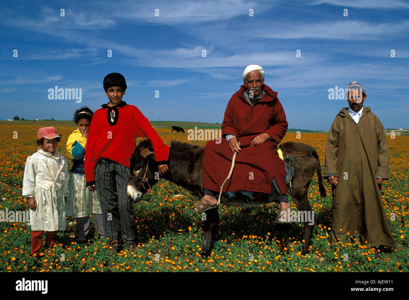 Moroccan farming family hi-res stock photography and images - Alamy