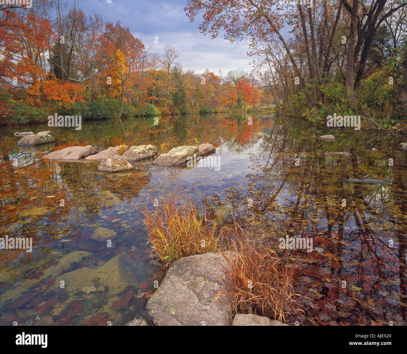Mutli coloured light hi-res stock photography and images - Alamy