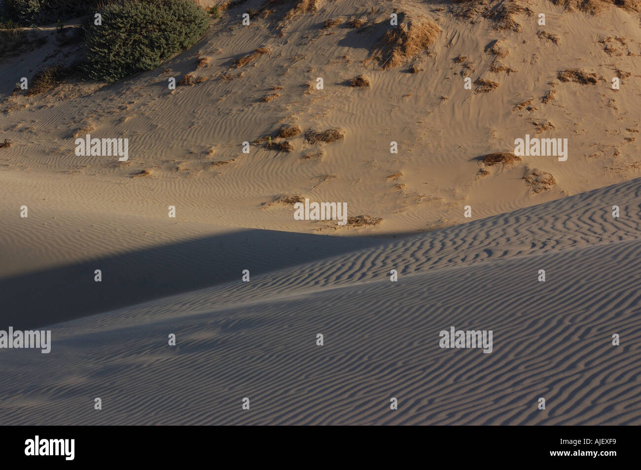 Oceano Sand Dunes Stock Photo - Alamy