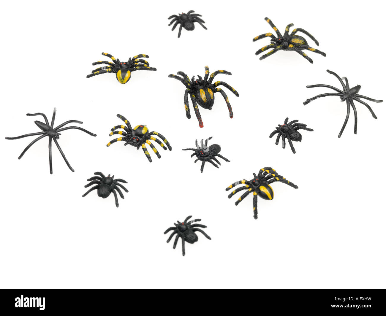 Fake spiders hi-res stock photography and images - Alamy