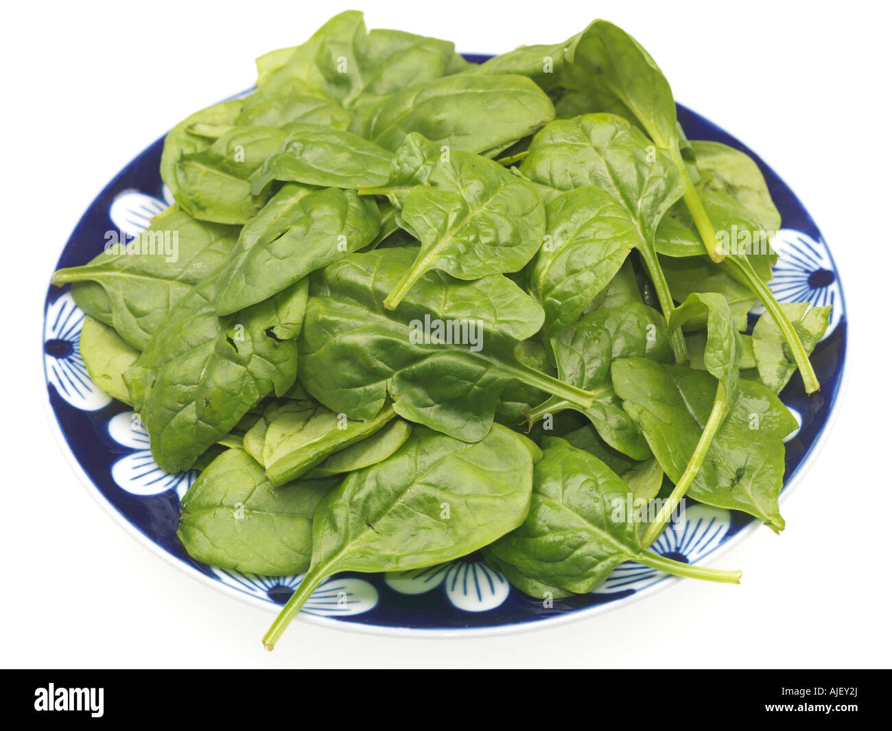 Fresh Raw Uncooked Healthy Tender Young Spinach Leaves Isolated Against ...