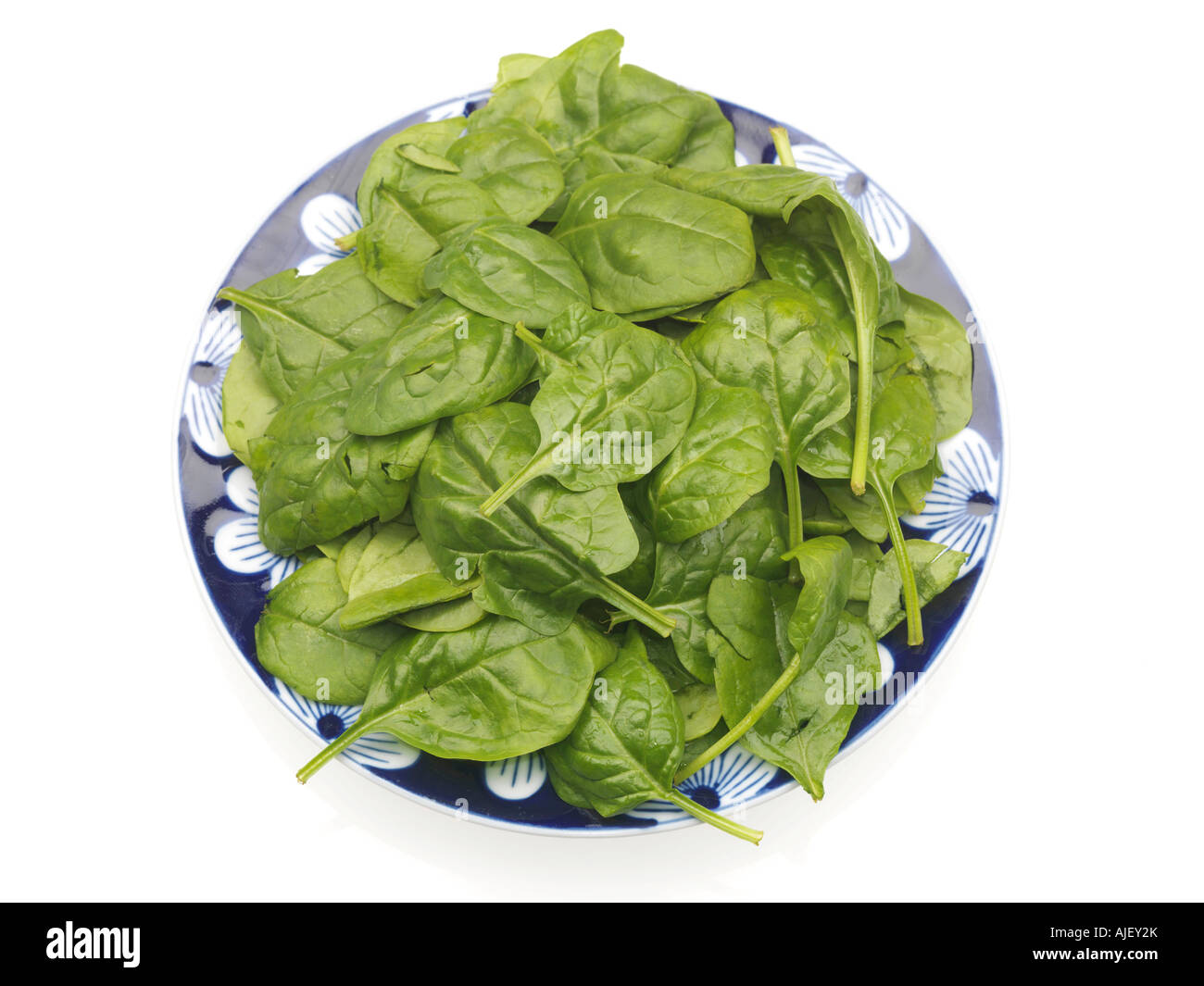 Fresh Raw Uncooked Healthy Tender Young Spinach Leaves Isolated Against ...