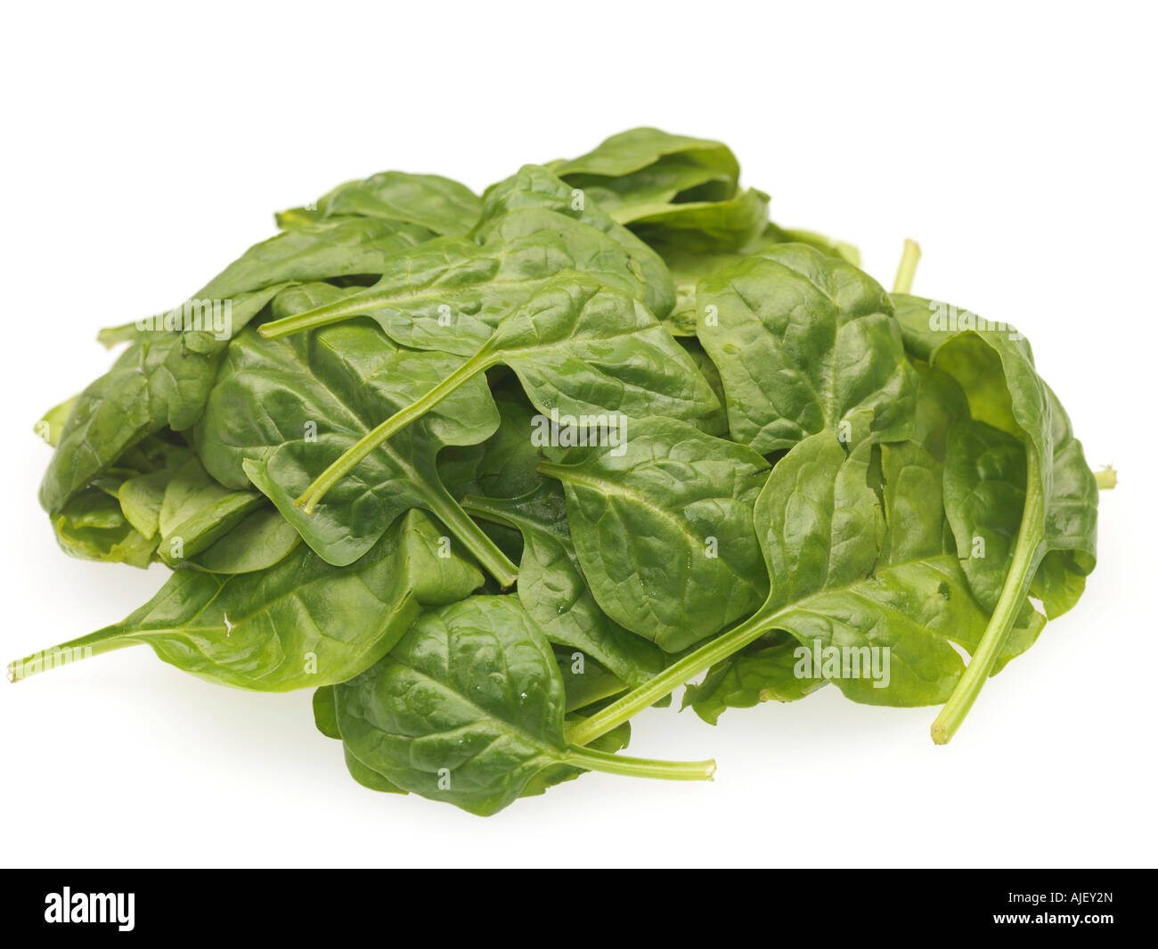 Fresh Raw Uncooked Healthy Tender Young Spinach Leaves Isolated Against ...