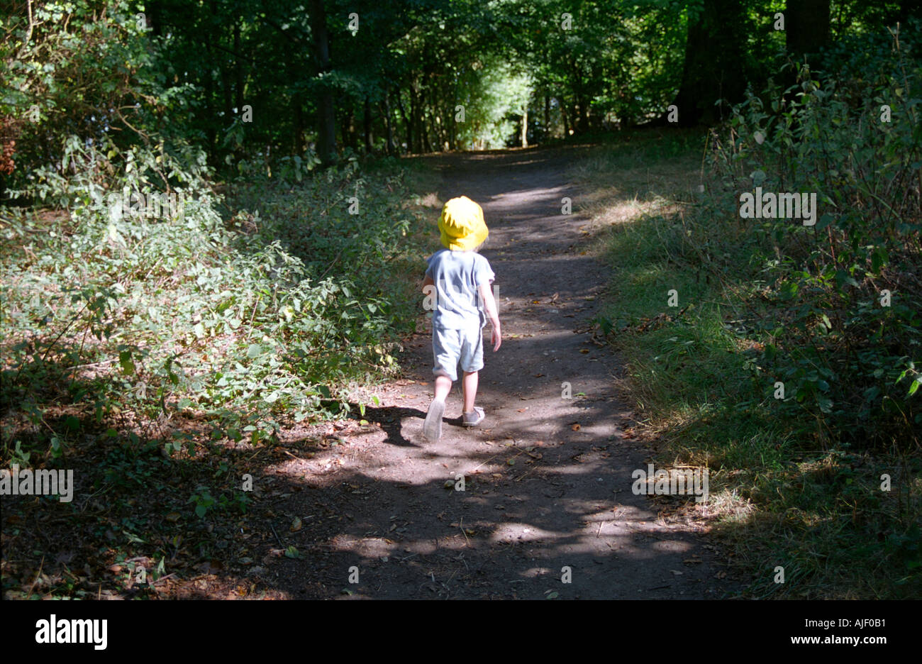 Little girl walking in sunlight through a shady forest Stock Photo - Alamy