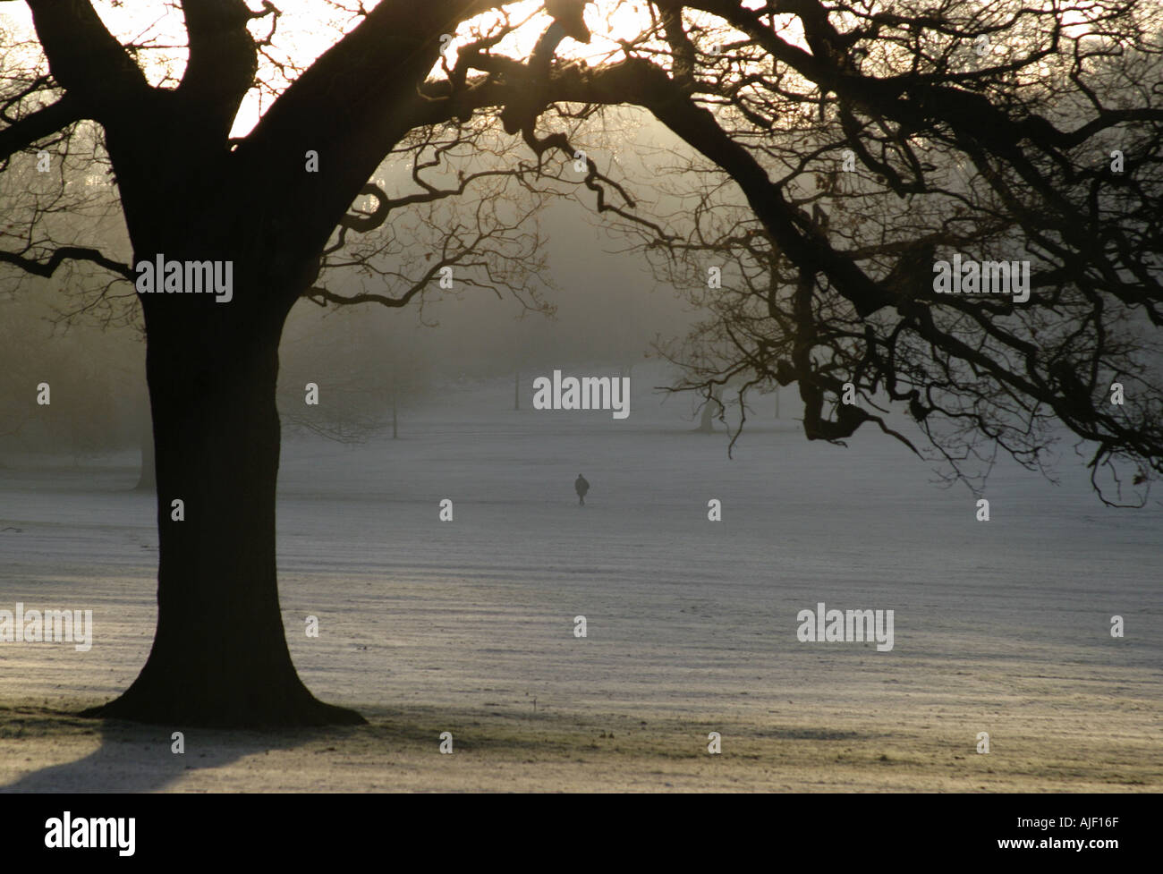 Bramcote park hi-res stock photography and images - Alamy