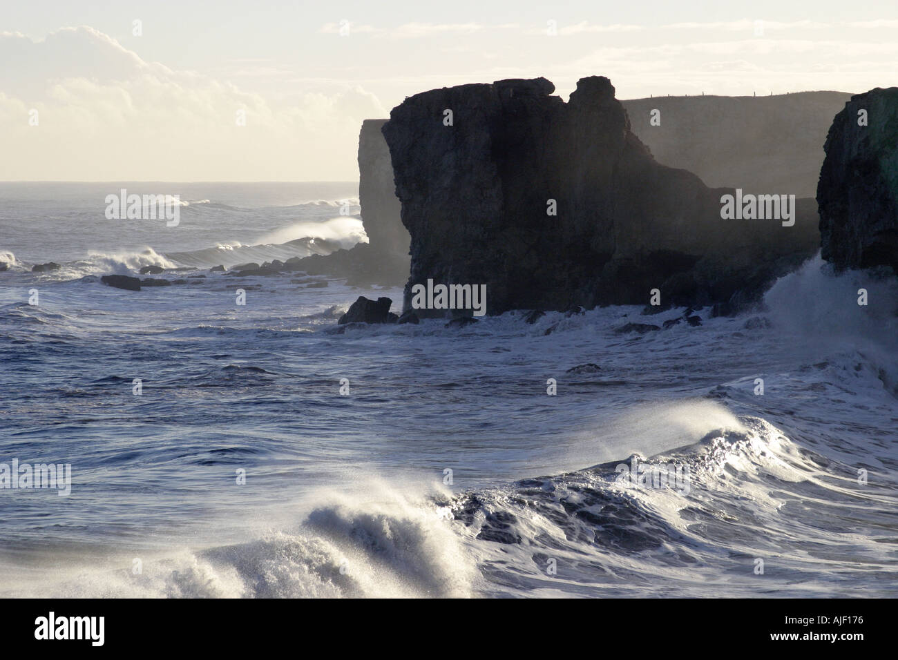 Trow hi-res stock photography and images - Alamy