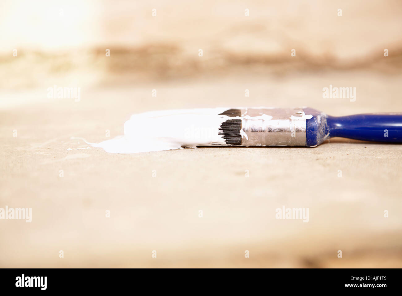 Paintbrush lying on painting tarp, close up Stock Photo - Alamy