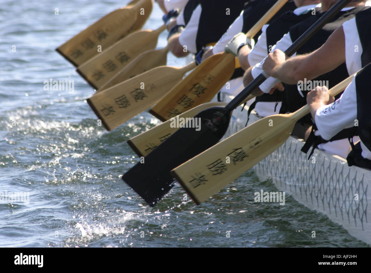 dragon boat team racing Stock Photo - Alamy