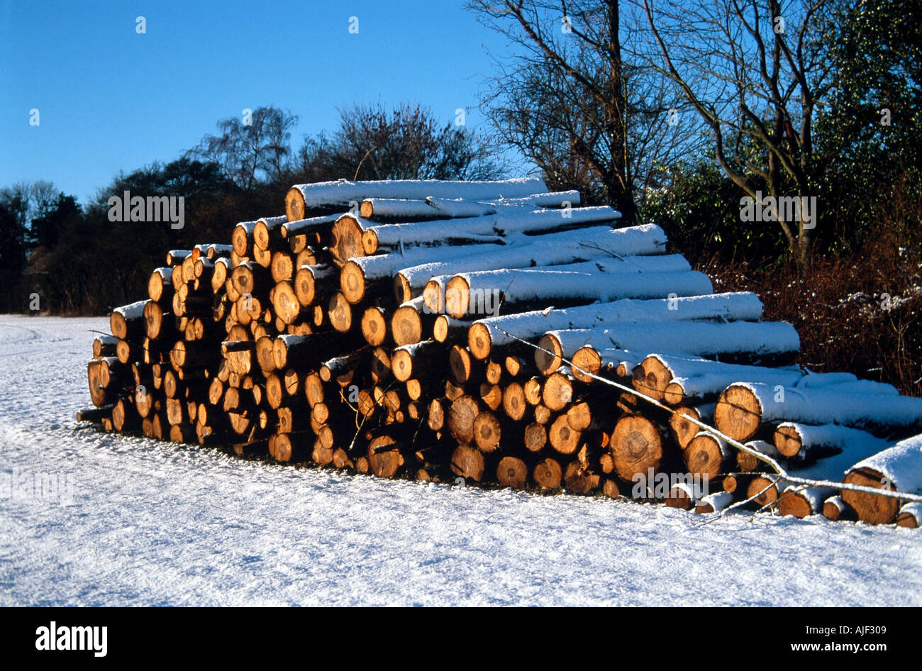 Snow covered wooden Logs Stock Photo - Alamy