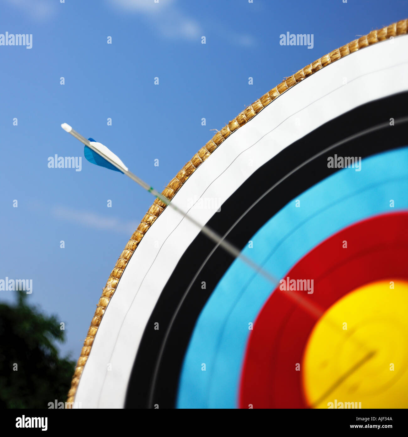 Archery target with arrow Stock Photo - Alamy