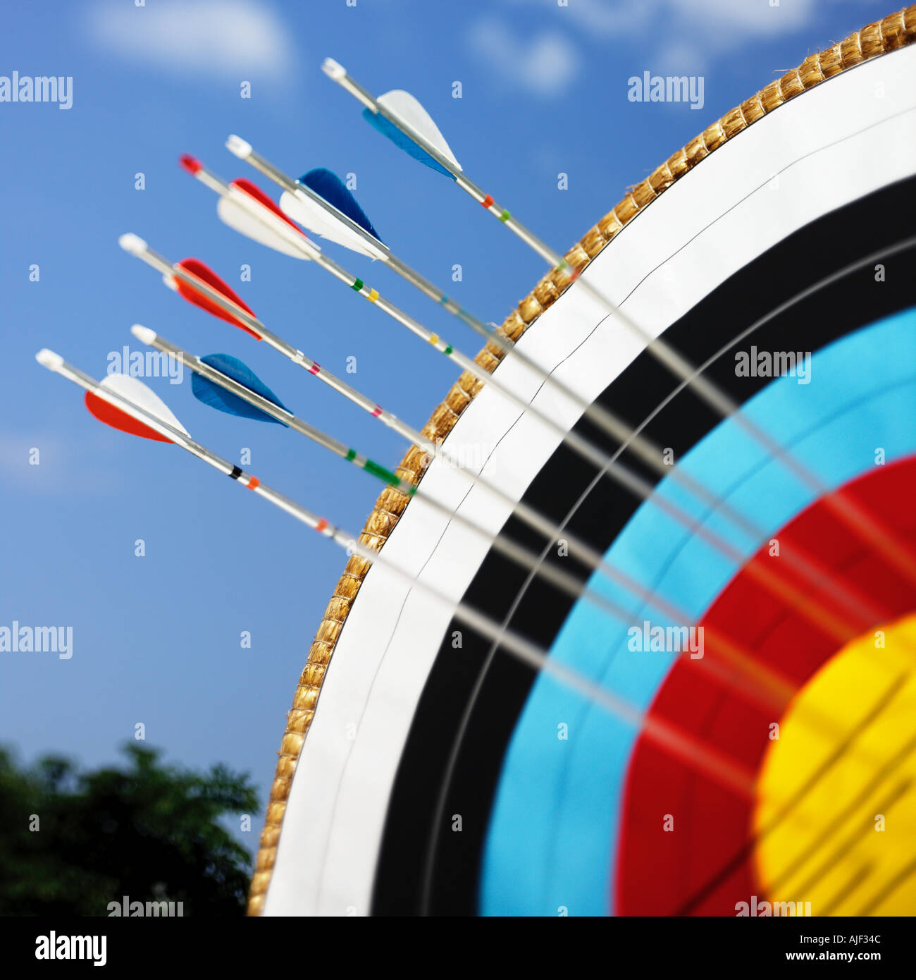 Archery target with arrows Stock Photo - Alamy