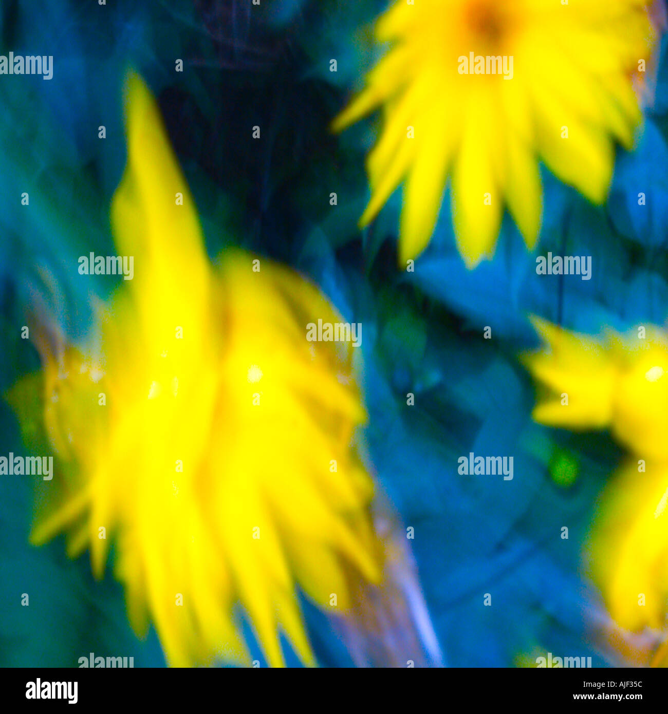 Nature movment hi-res stock photography and images - Alamy