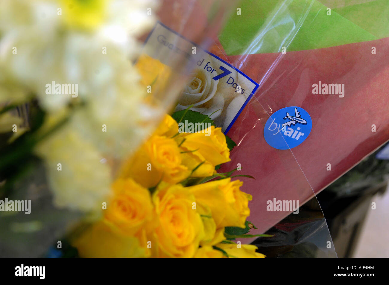 Energy consumption labelling hi-res stock photography and images - Alamy